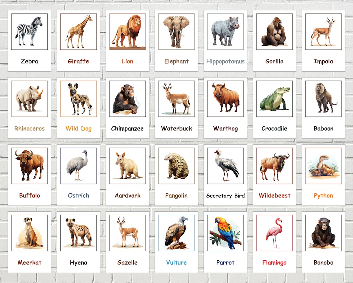 40 Safari Animals Flashcards, Printable Animal Flashcards, Animals ...