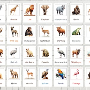 40 Safari Animals Flashcards, Printable Animal Flashcards, Animals ...