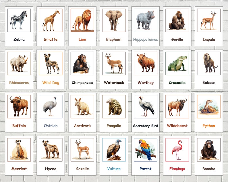 40 Safari Animals Flashcards, Printable Animal Flashcards, Animals ...
