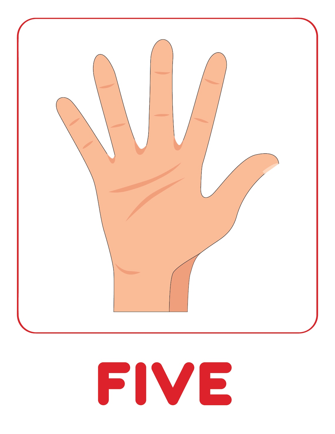 Finger Counting Flash Cards, Hand Counting Cards, Nomenclature Cards ...