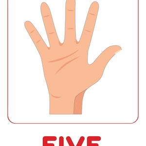 Finger Counting Flash Cards, Hand Counting Cards, Nomenclature Cards ...