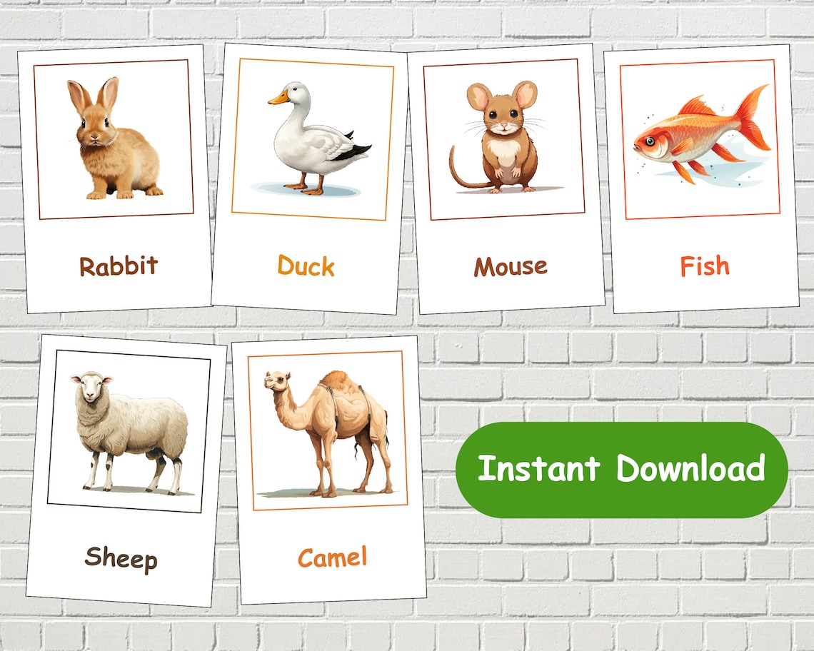 32 Domestic Animals Flashcards, Farm Animals Flashcards, Animals ...