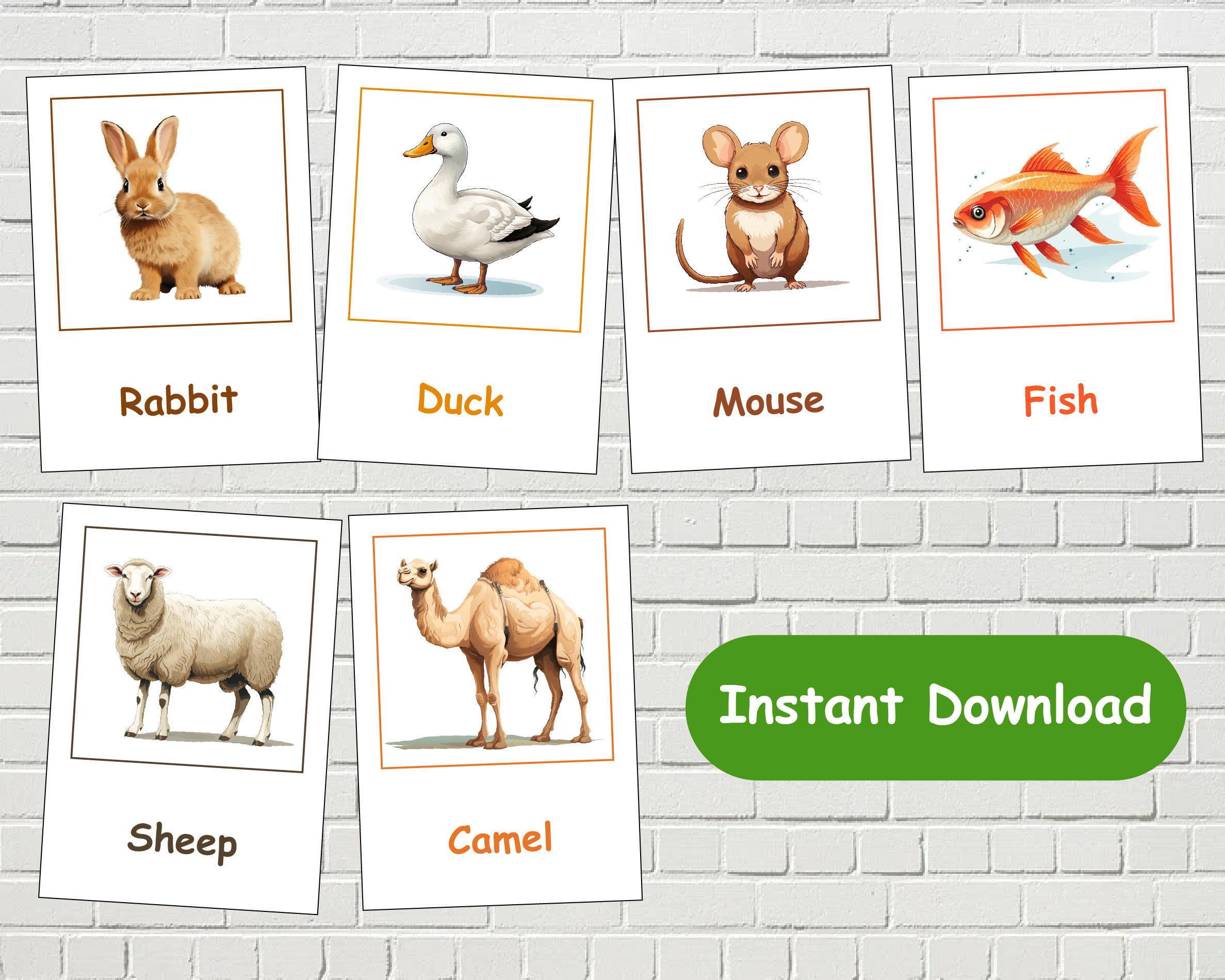 32 Domestic Animals Flashcards, Farm Animals Flashcards, Animals ...