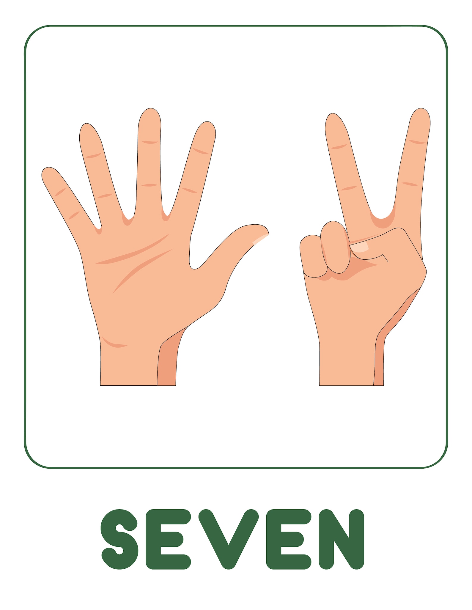 Finger Counting Flash Cards, Hand Counting Cards, Nomenclature Cards ...