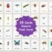 28 Insects Flashcards, Insect Vocabulary, Bug Learning PDF, Detailed ...