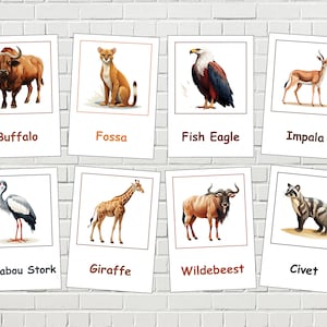 40 Safari Animals Flashcards, Printable Animal Flashcards, Animals ...