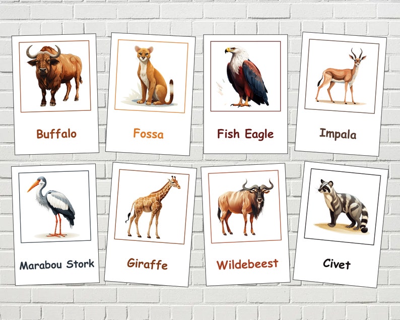 40 Safari Animals Flashcards, Printable Animal Flashcards, Animals ...