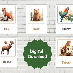 30 Forest Animals Flashcards, Forest Animals Vocabulary, Printable ...