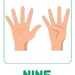 Finger Counting Flash Cards, Hand Counting Cards, Nomenclature Cards ...