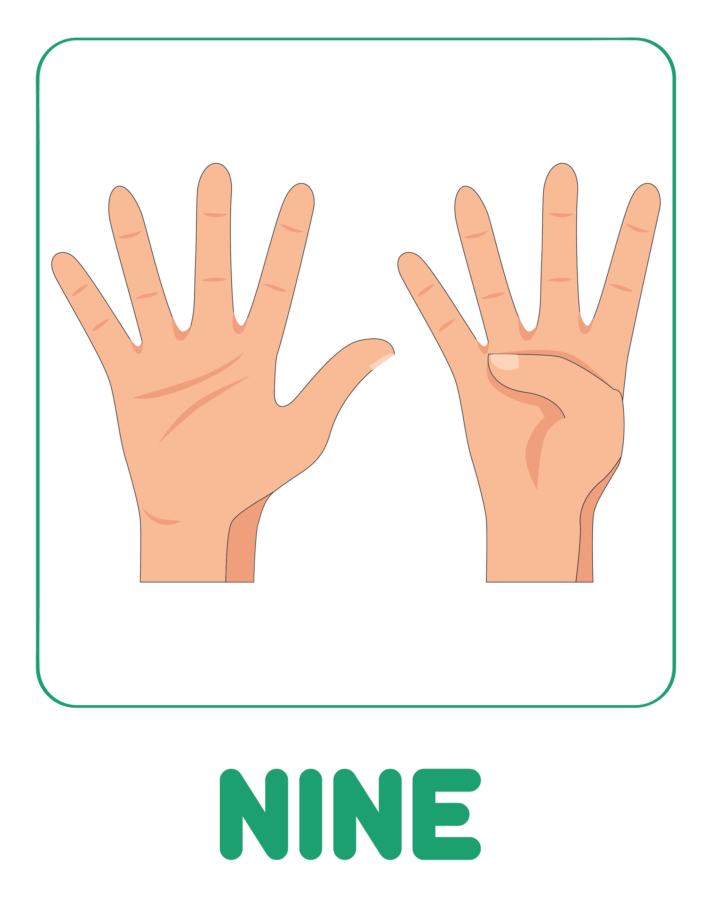 Finger Counting Flash Cards, Hand Counting Cards, Nomenclature Cards ...