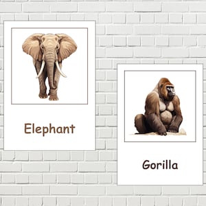 40 Safari Animals Flashcards, Printable Animal Flashcards, Animals ...