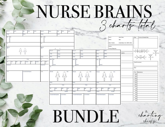 BUNDLE ALL 3 Nurse Brains Instant Download/printable Nurse - Etsy