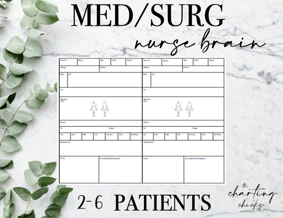 2 to 6 Patient Nurse Brain for MED/SURGICAL Units Instant | Etsy
