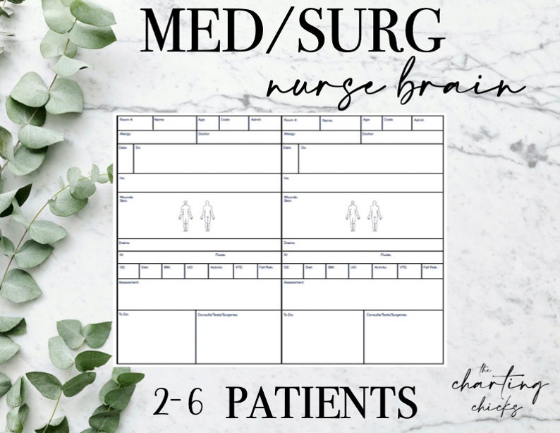 2 to 6 Patient Nurse Brain for MED/SURGICAL Units| Instant Download ...
