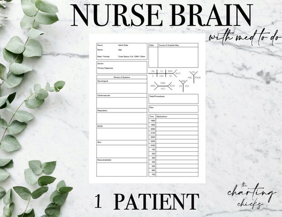 1 Patient Nurse Brain for ALL Units for Night and Day Med - Etsy