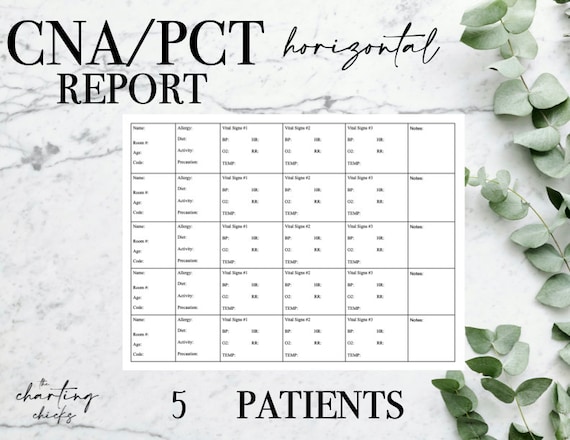 Horizontal CNA/PCT/AIDE Report Sheet for 5 Patients Instant - Etsy