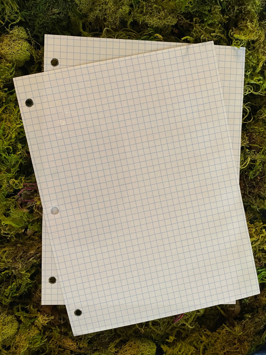 Dry Erase Reusable Graph Ruled Loose Leaf Filler Paper, 2 Sheets - Etsy