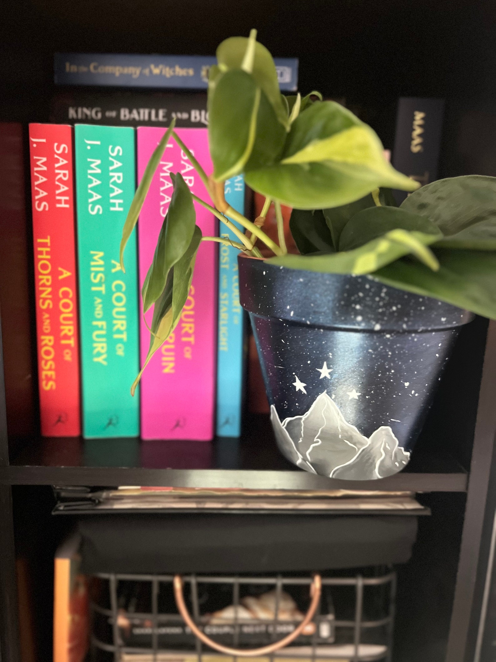 Night Court Mountain, Velaris City of Starlight, Acotar Planter, Bat ...
