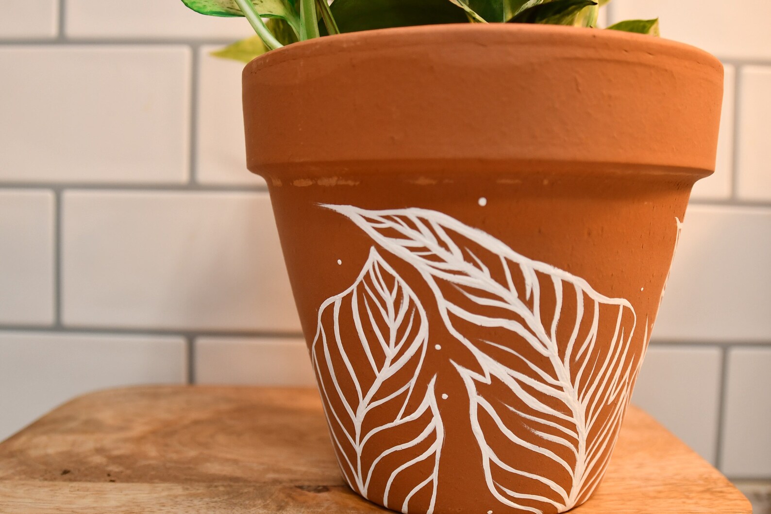 Boho Planter, Hand Painted Terracotta Pot , Boho Plant Pot, Cactus ...