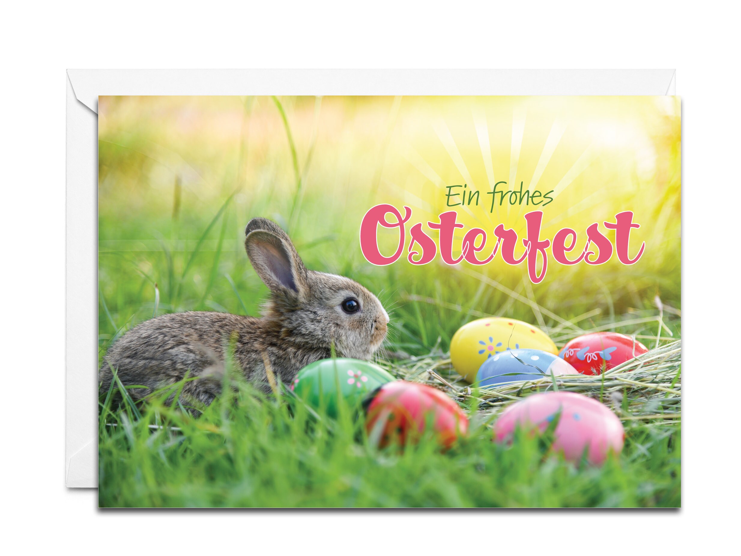German Easter Card - Ein Frohes Osterfest (bunny With Easter Eggs) - Etsy