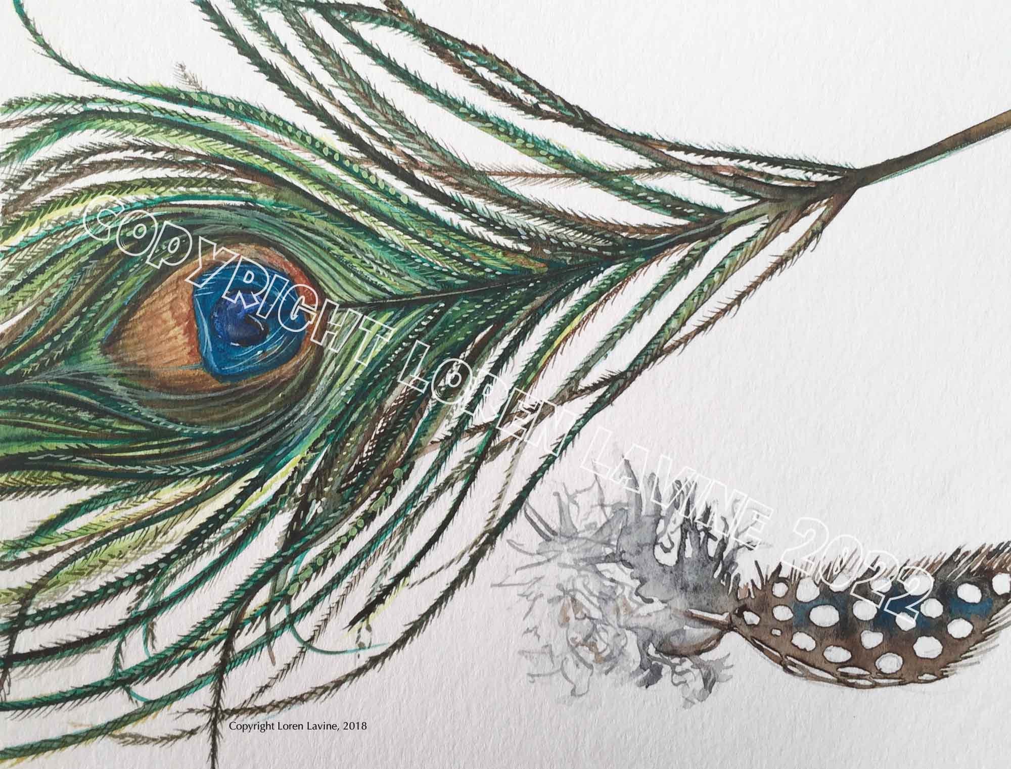 Peacock Feather Wall Art Loren Lavine Boho Chic Decor Urban Industrial ...