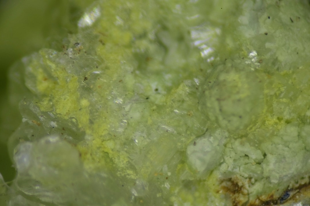 Hydrohonessite and Gaspeite From Widgiemooltha, West Australia Mineral ...