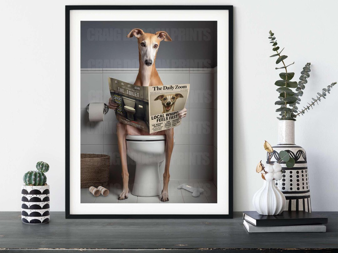 Funny Whippet Art Print – Red Whippet Reading “the Daily Zoom ...