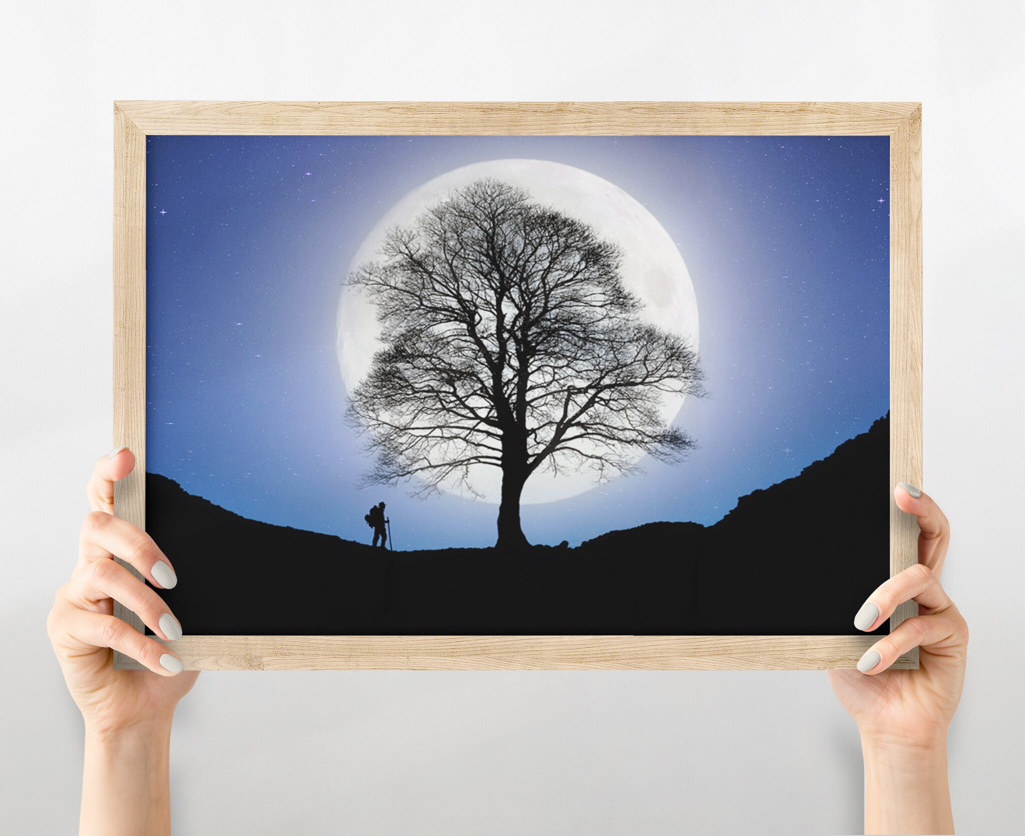 Sycamore Gap Tree Aka the Robin Hood Tree Print - Etsy