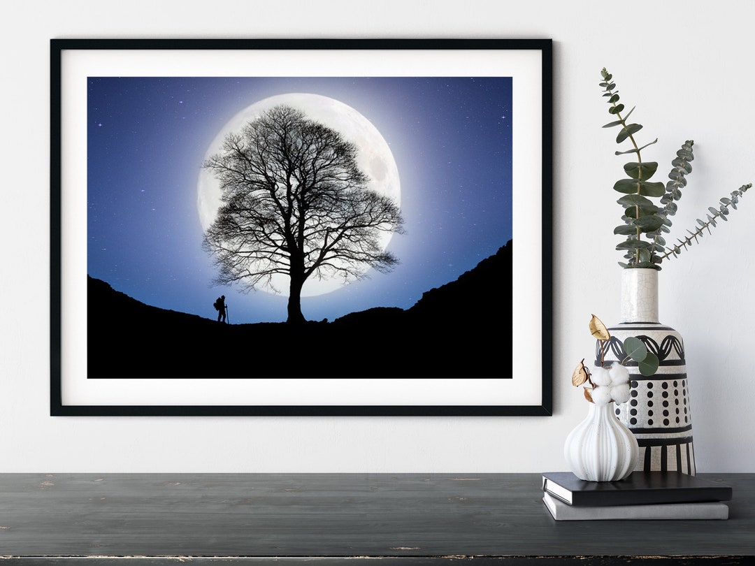 Sycamore Gap Tree Aka the Robin Hood Tree Print - Etsy