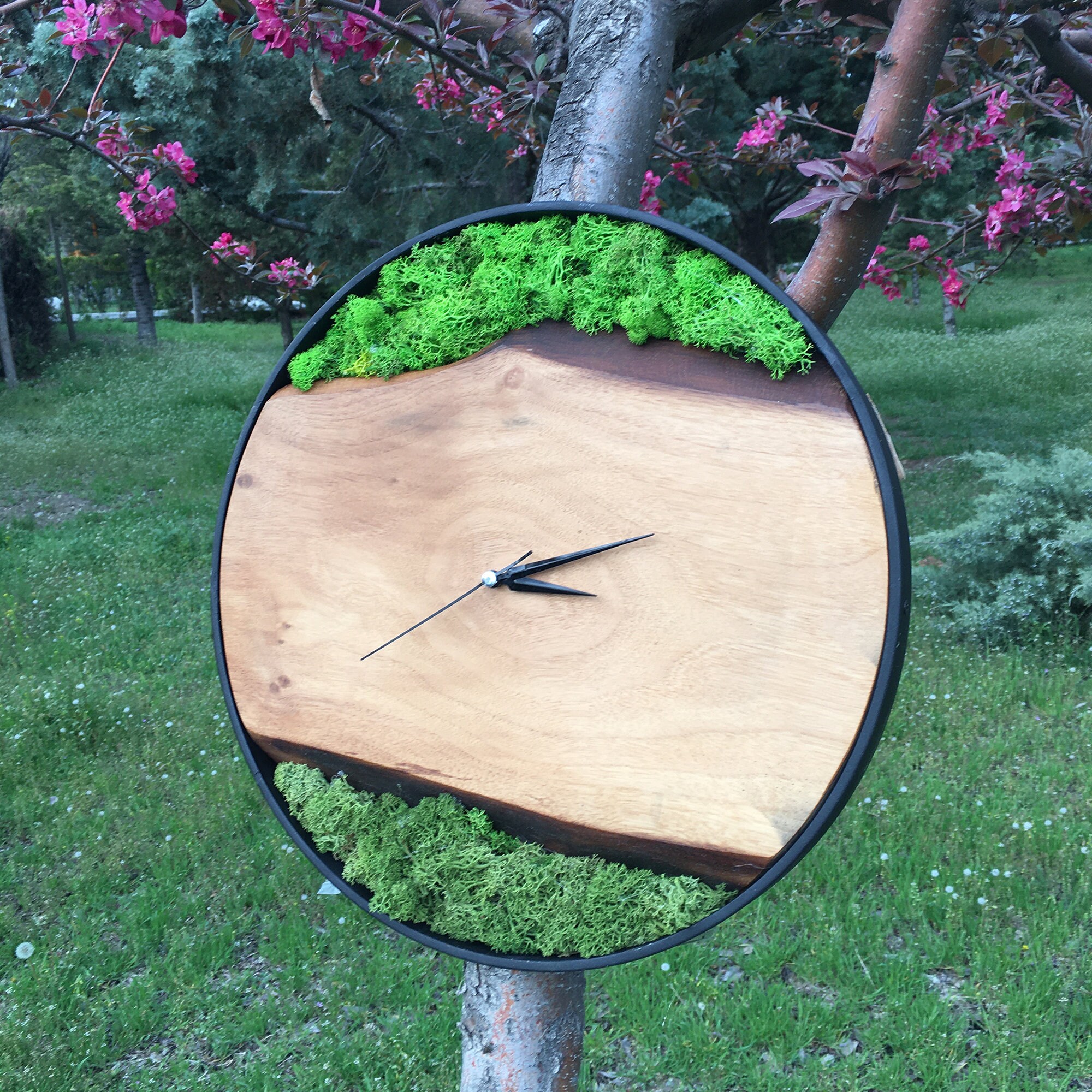 Moss Wall Clock Wood Wall Art Moss Wall Decor Star Green - Etsy