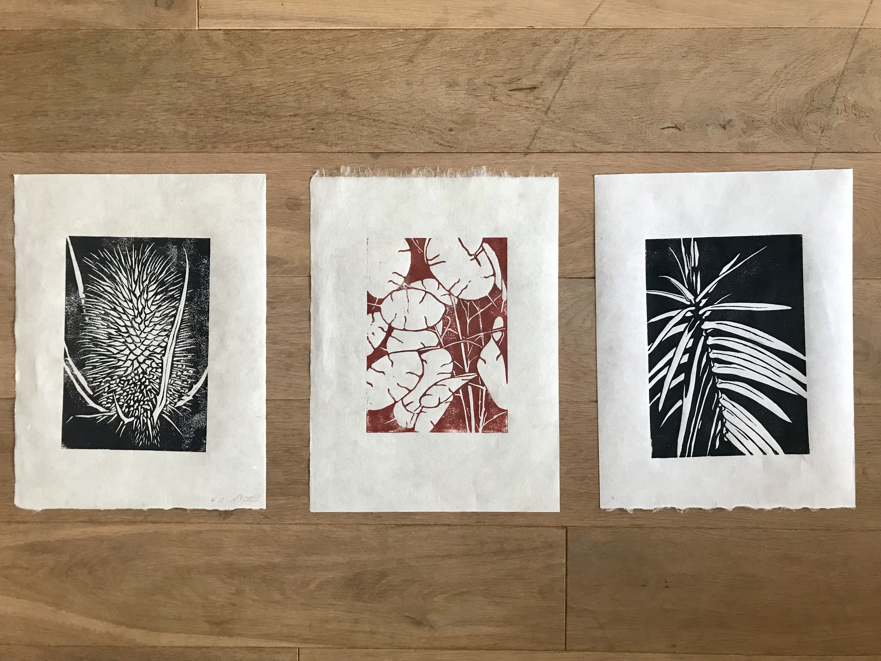 Palm / Leaf | Linocut Designed & Sold By Walrus