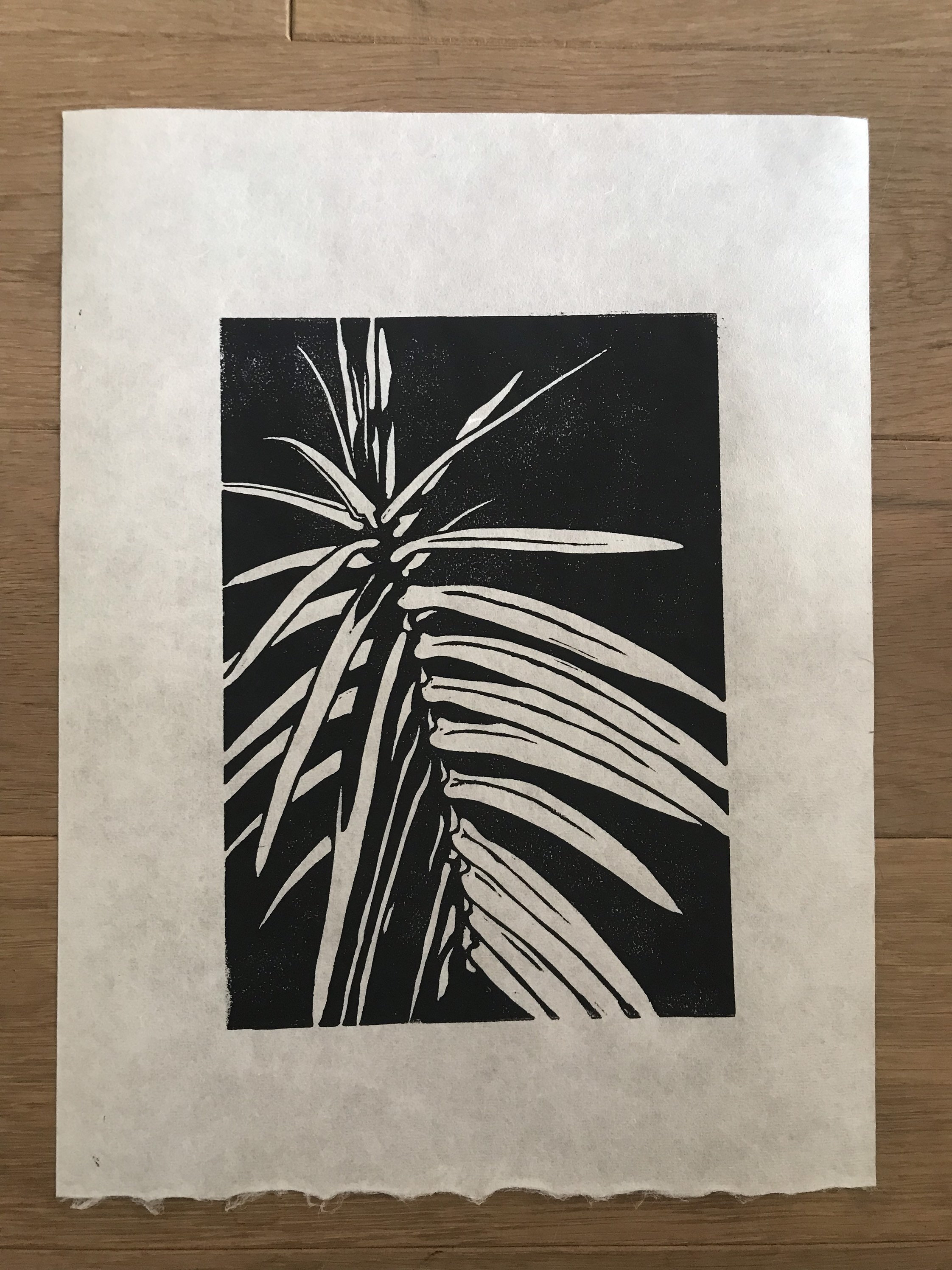 Palm / Leaf | Linocut Designed & Sold By Walrus