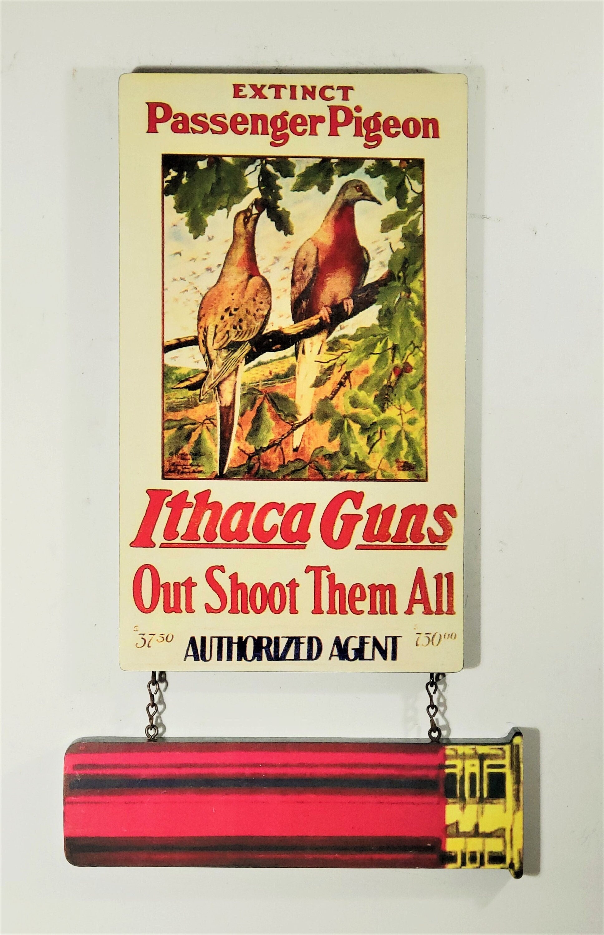 1911 Ithaca Gun Extinct Passenger Pigeon With a Winchester Leader Shell ...