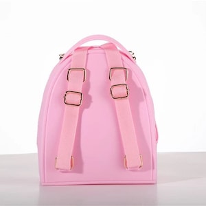 Big Croc Bag . Croc Charms. PVC Plastic Backpack. Croc Charm Bag ...