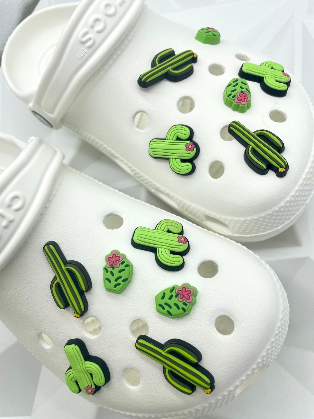 Cactus Croc Charms . Desert Croc Charm. Plant Croc Charms. Hobby Croc ...