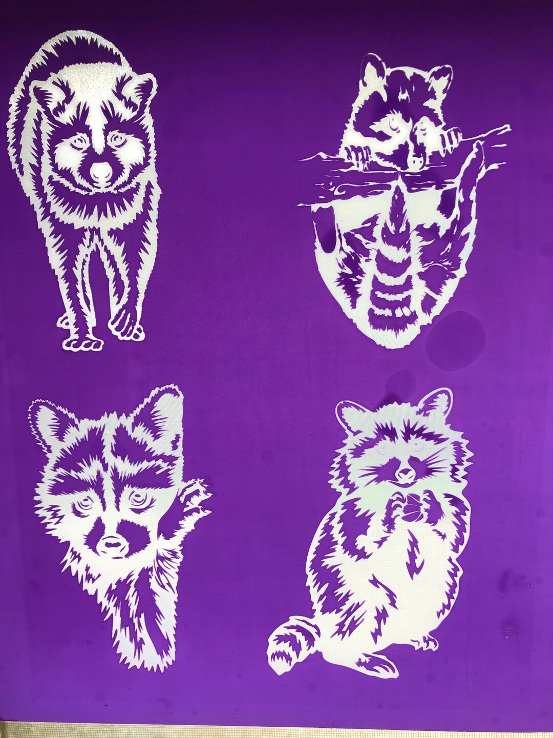 Raccoon Silk Screen Reusable Transfers Raccoon Silk Screen - Etsy