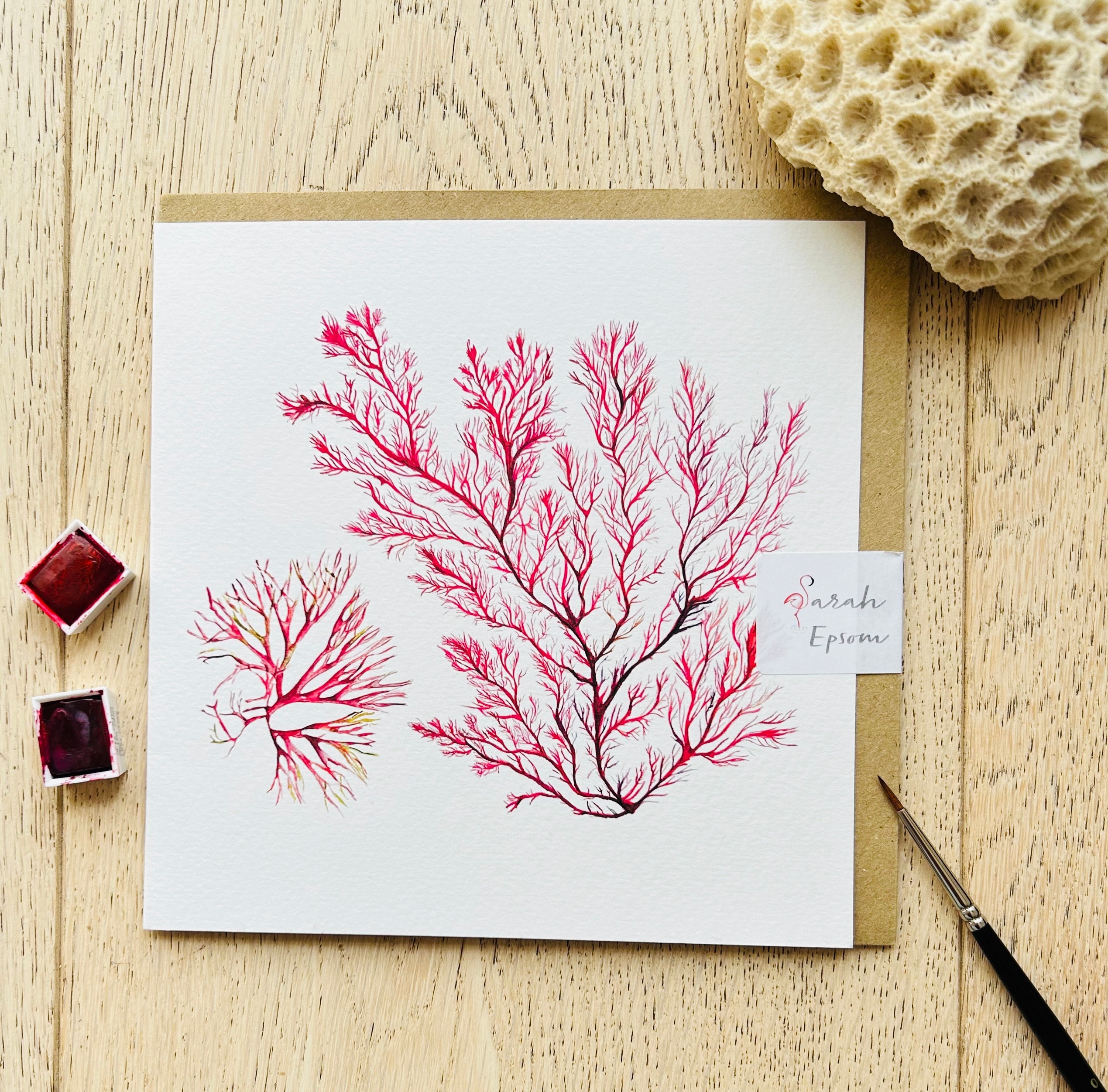 Seaweed Painted Cards Seaweed Art Seaweed Greeting Cards - Etsy