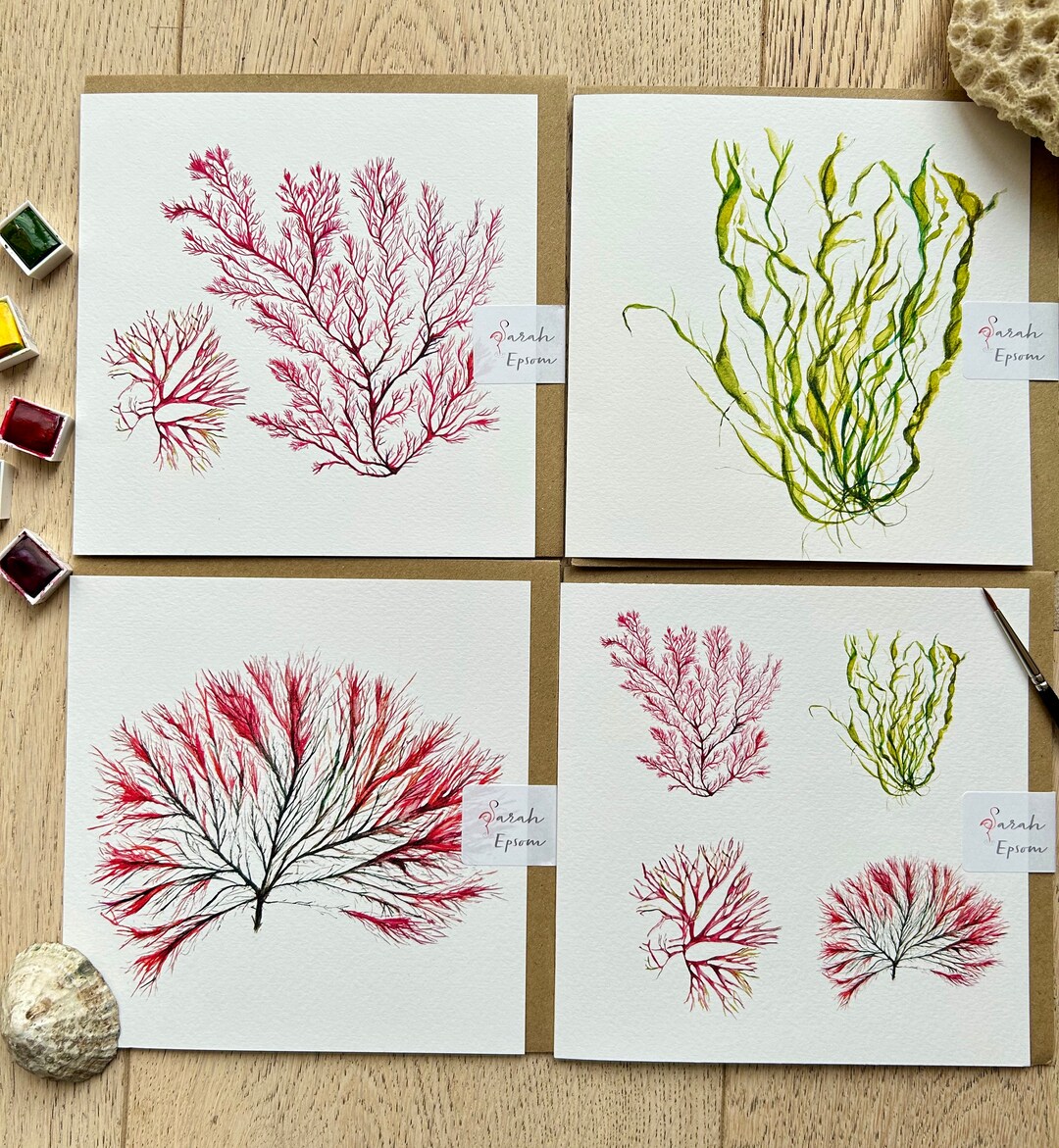 Seaweed Painted Cards, Seaweed Art, Seaweed Greeting Cards, Ocean Art ...