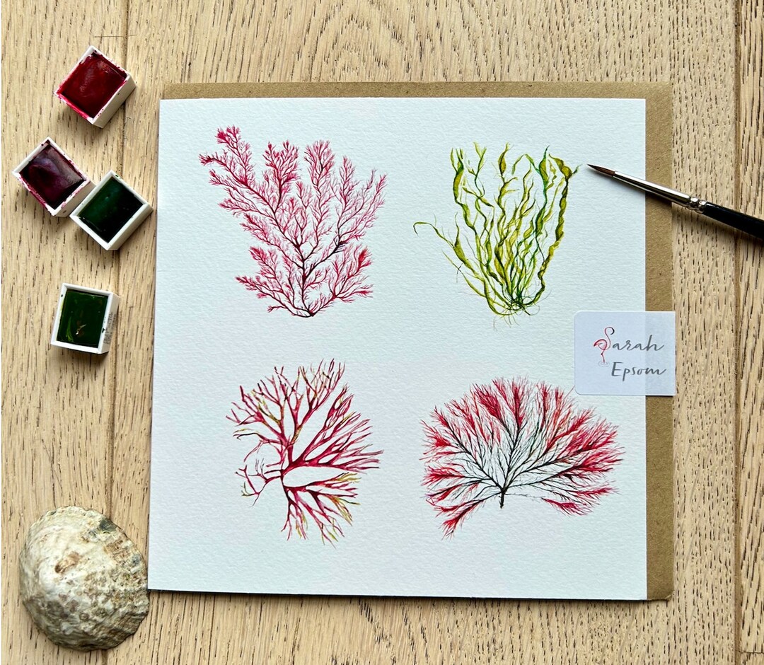 Seaweed Pals, Greeting Card, Seaweed Painting, Seaweed Illustration ...