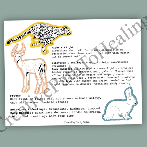 Fight Flight Freeze Worksheets - Etsy