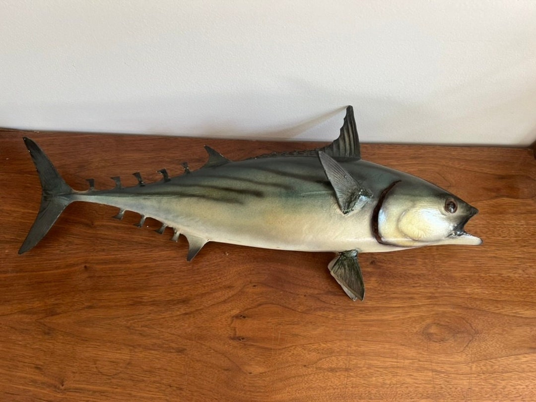 Skipjack Tuna Vintage Fish Half Mount Wall Hanging Fishing Fiberglass ...