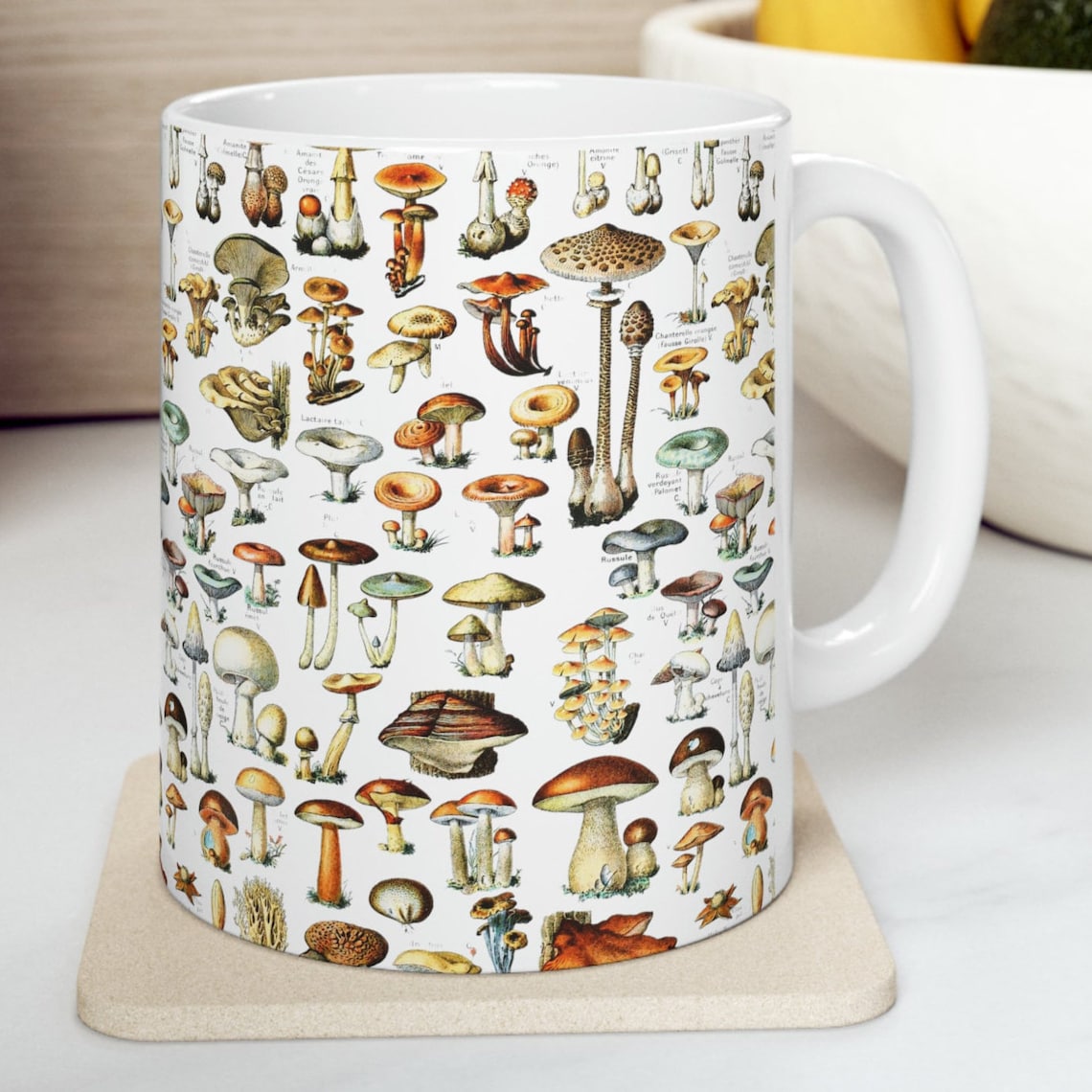 Vintage Mushroom Art Collection, Toadstool Lover Gift, 11 Oz Ceramic ...