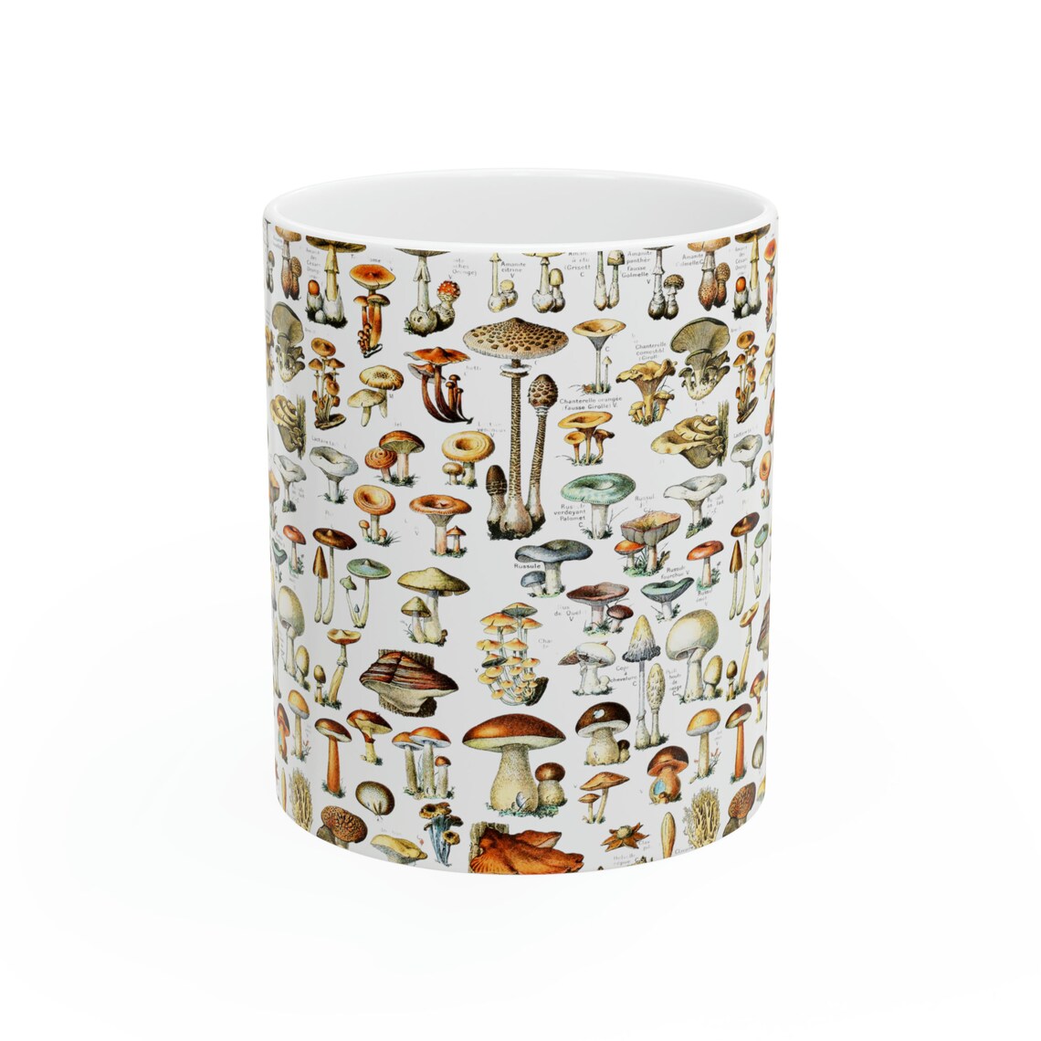 Vintage Mushroom Art Collection, Toadstool Lover Gift, 11 Oz Ceramic ...