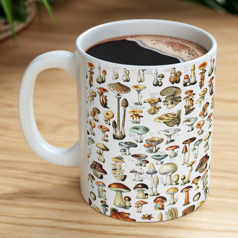 Vintage Mushroom Art Collection, Toadstool Lover Gift, 11 Oz Ceramic ...