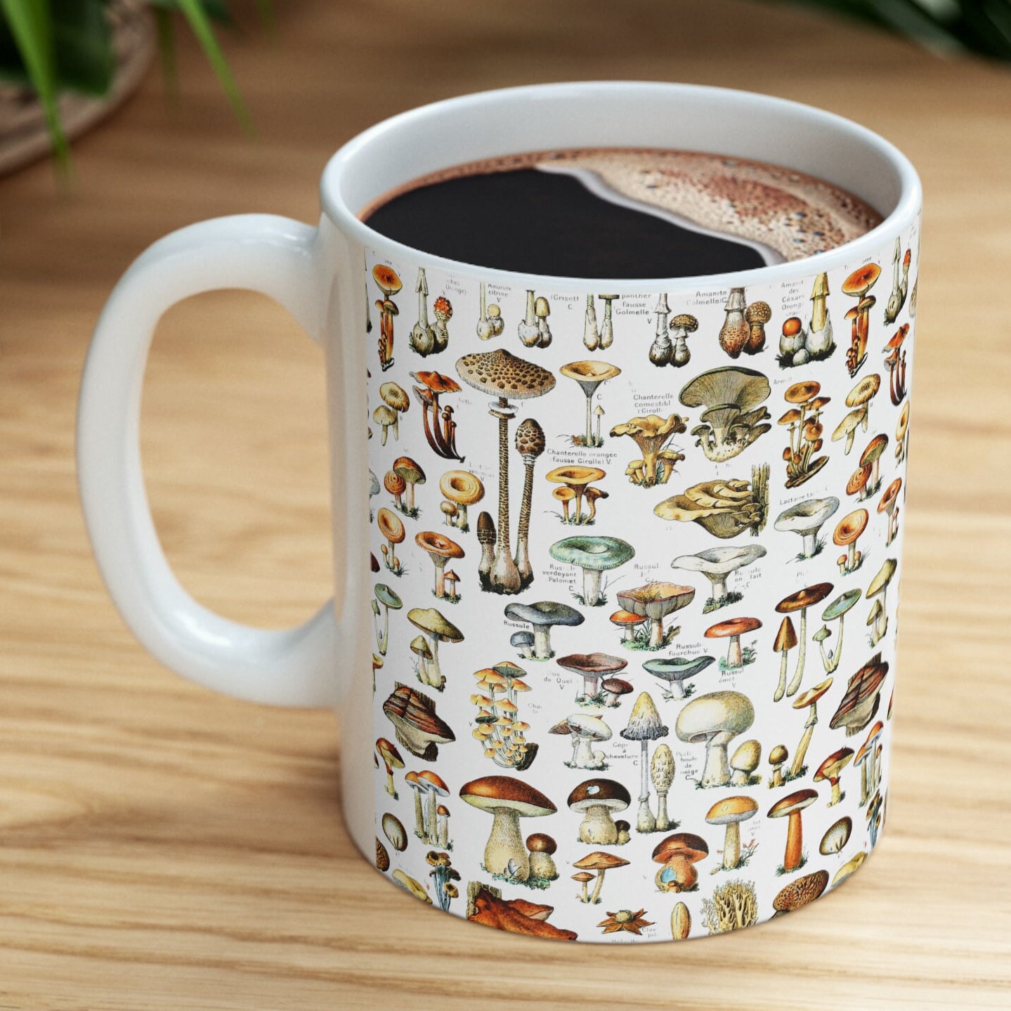 Vintage Mushroom Art Collection, Toadstool Lover Gift, 11 Oz Ceramic ...