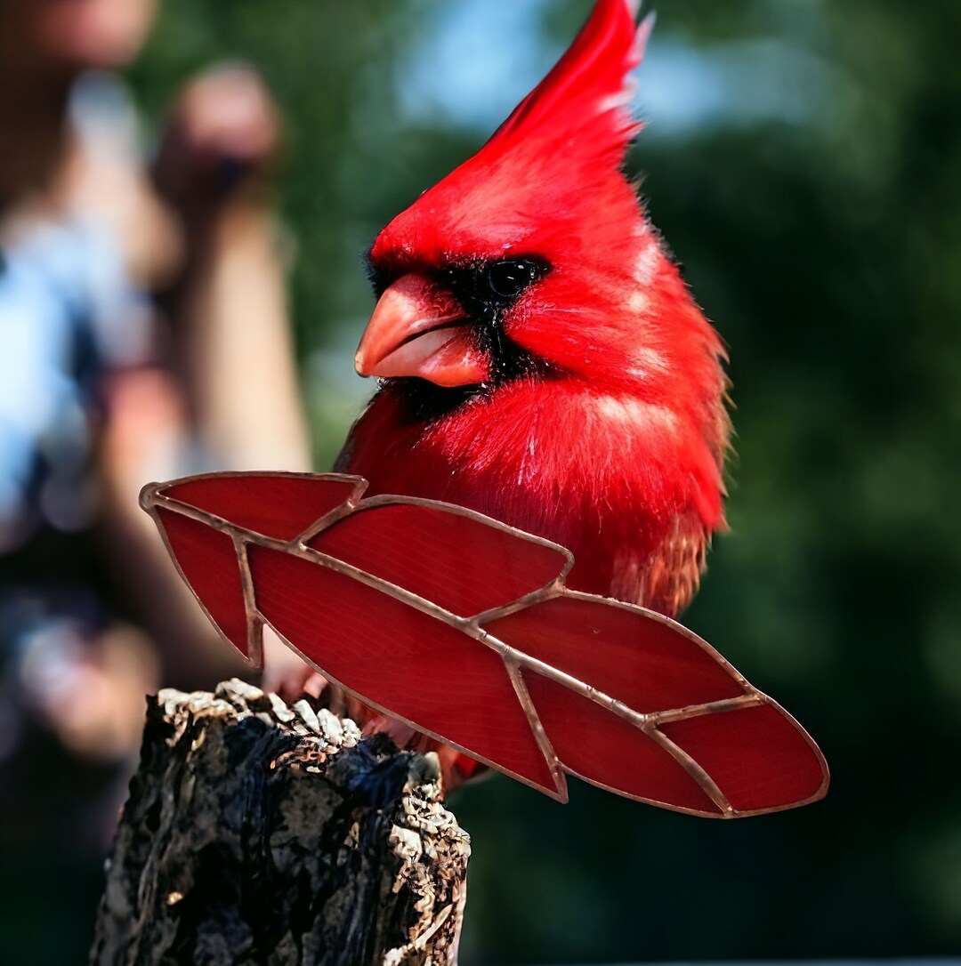 Stained Glass Cardinal Feather - Etsy