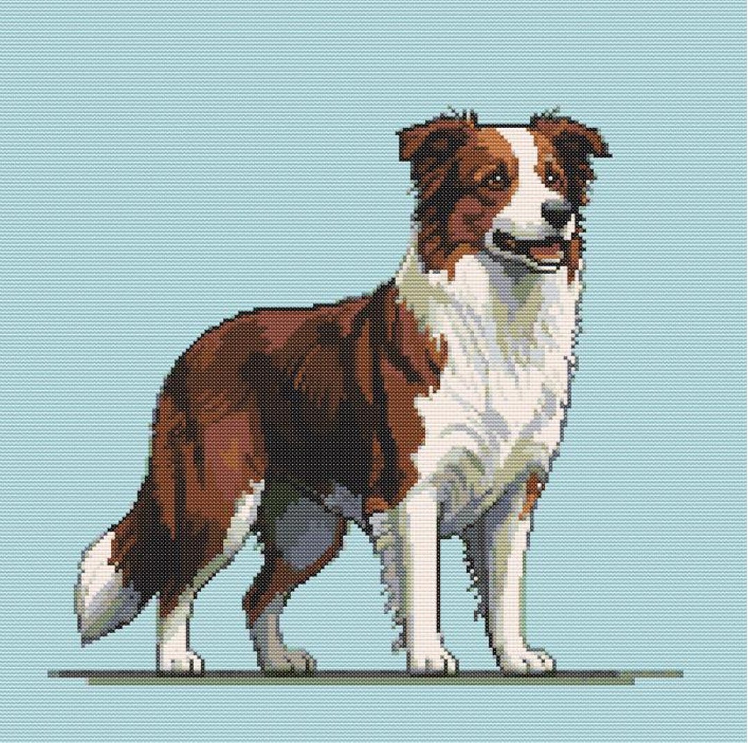 Border Collie Cross Stitch Pattern: Dog Portrait (PDF Pattern) - Etsy
