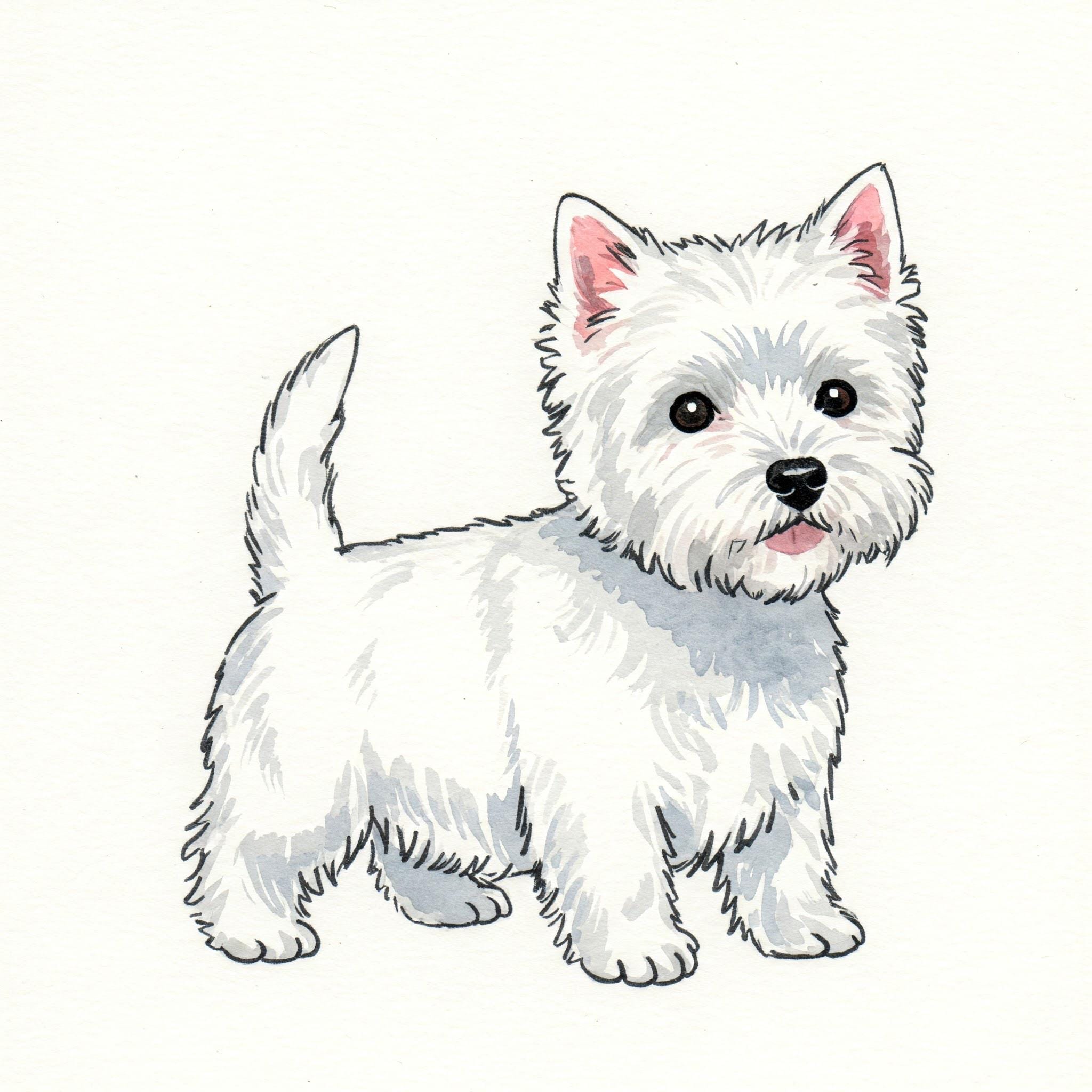 Westie Watercolor Cross Stitch Pattern - Design Size: 200 X 200 ...