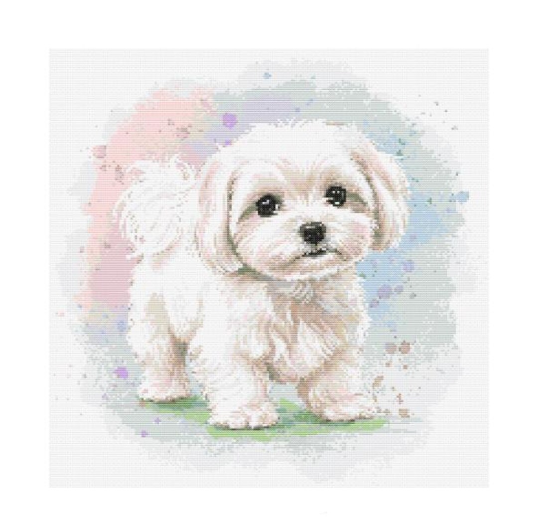 Maltipoo Watercolor Cross Stitch Pattern - Design Size: 200 X 200 ...
