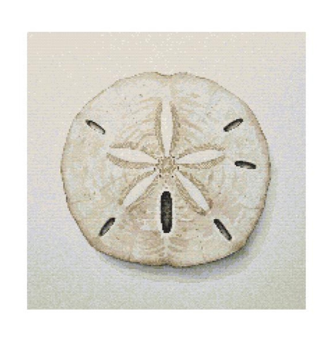 Sand Dollar Cross Stitch Pattern Design Size: 200 X 200 Stitches - Etsy